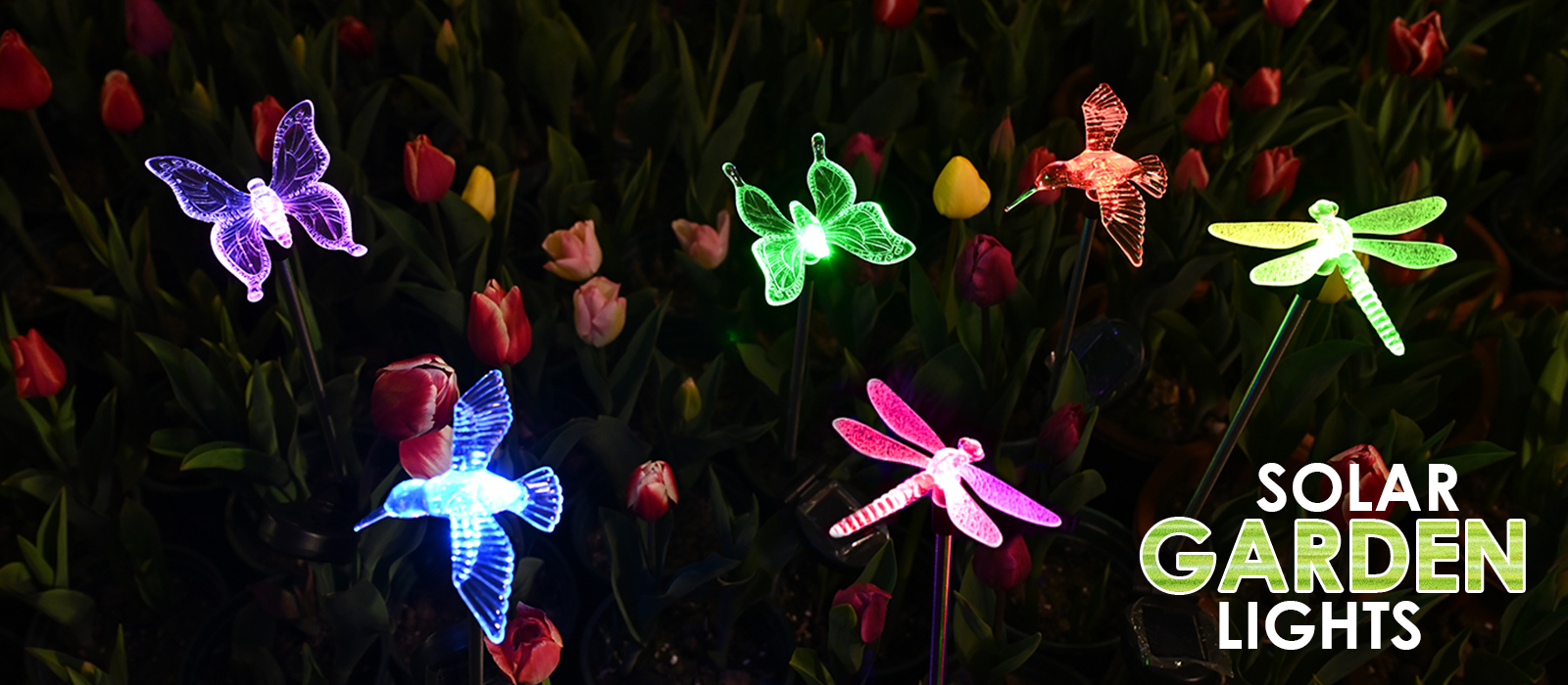 Official Website for Hardoll | Exclusive Online Store for Solar Lights