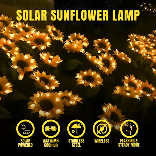 Garden Lighting Powered by Solar Energy | Environmentally Friendly ...