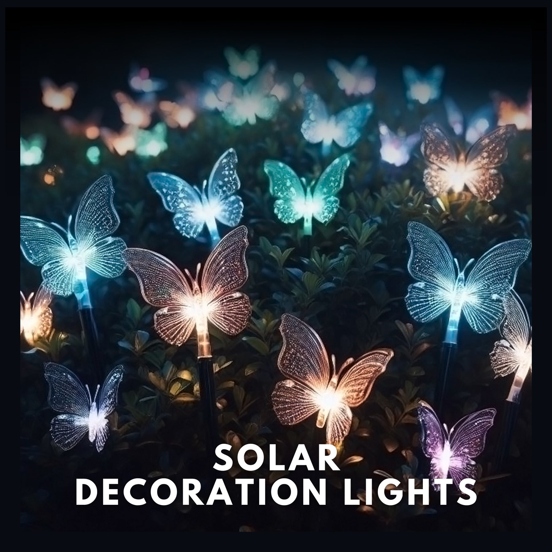 Exclusive Online Store for Solar Light |Hardoll solar lights